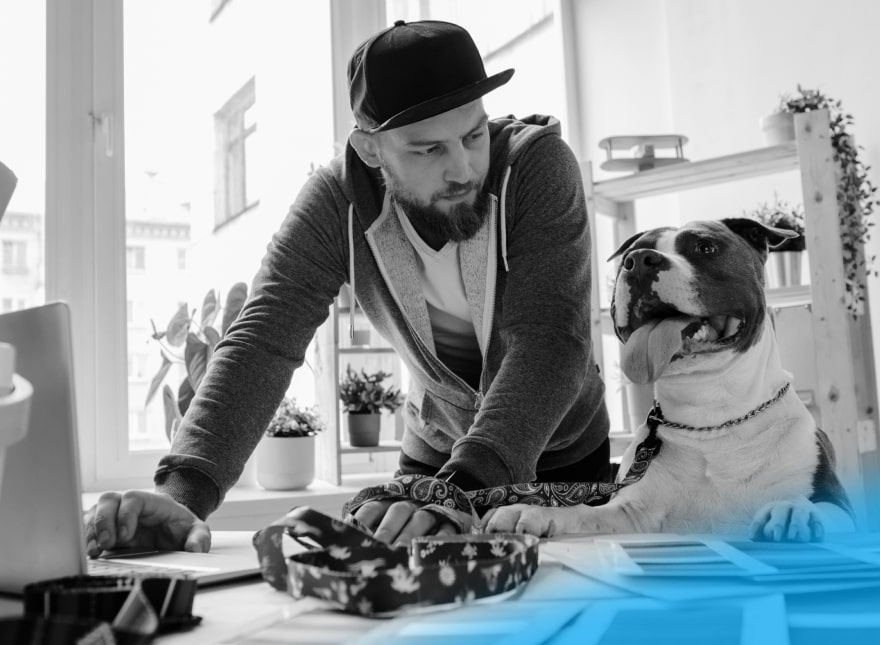 Pet Tech Solutions | Softeq