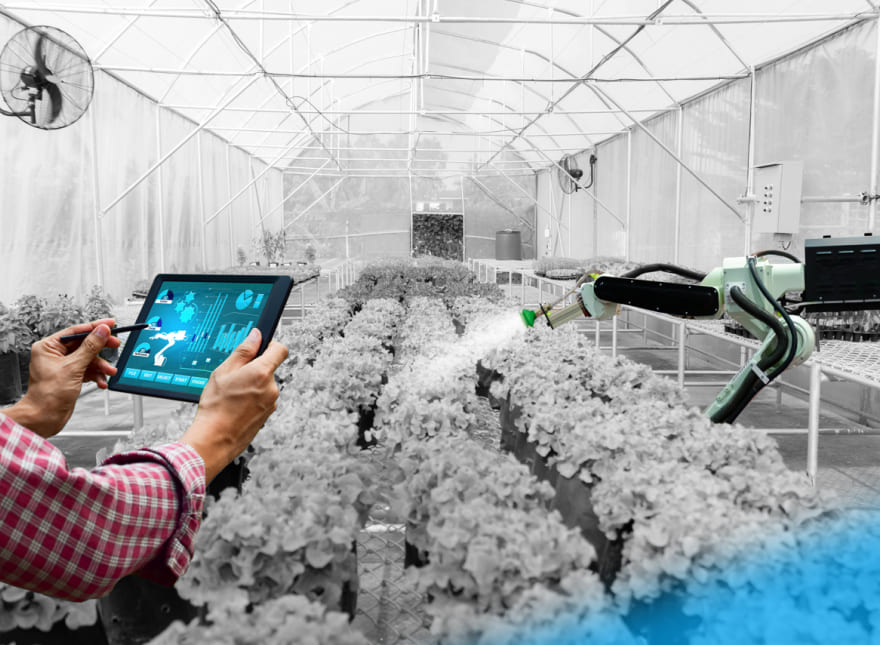 Digital Transformation Services & Solutions | Softeq