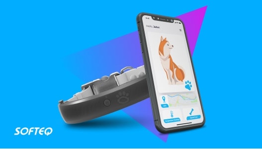 Developing an IoT Pet Tracking Solution | Softeq Case Study