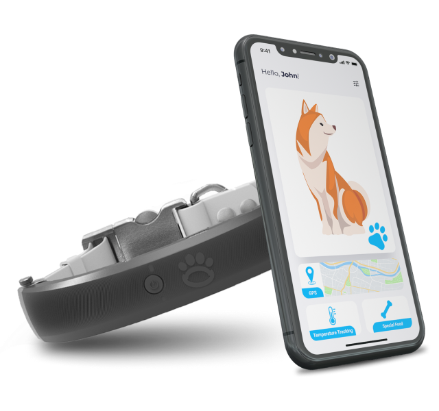 Pet Tech Solutions | Softeq